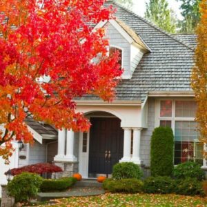 Most Popular Fall Home Improvement Projects | Logan Services A/C, Heat ...