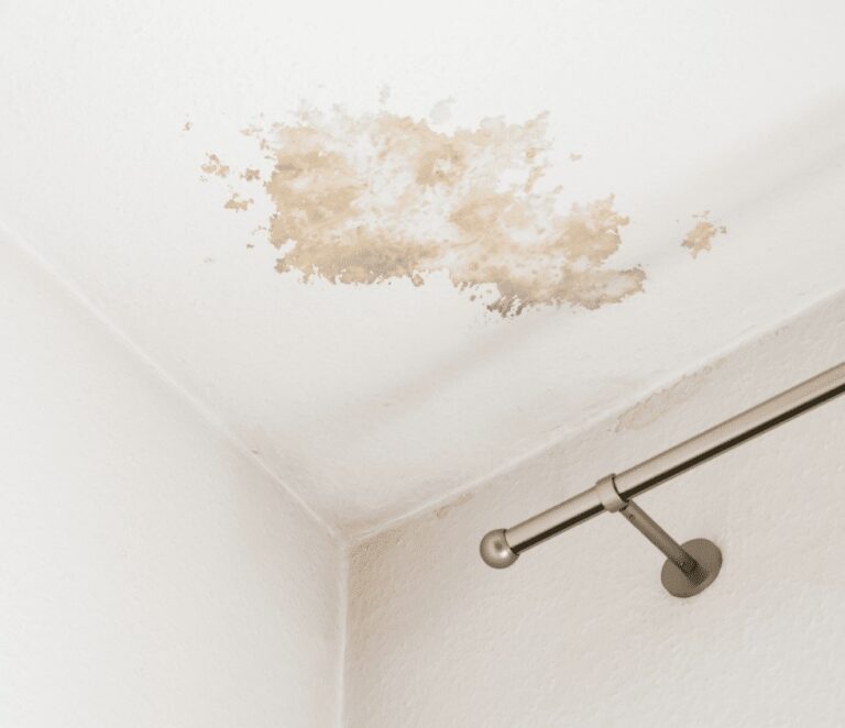 What To Do If You See Water Leaking From Ceiling | Logan Services A/C ...